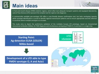 E. A. Foglia - Preliminary validation of multiplex Eurasia lateral flow ...