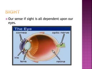 Five senses | PPT