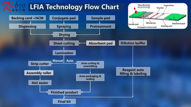 LFIA Theory Content.pdf