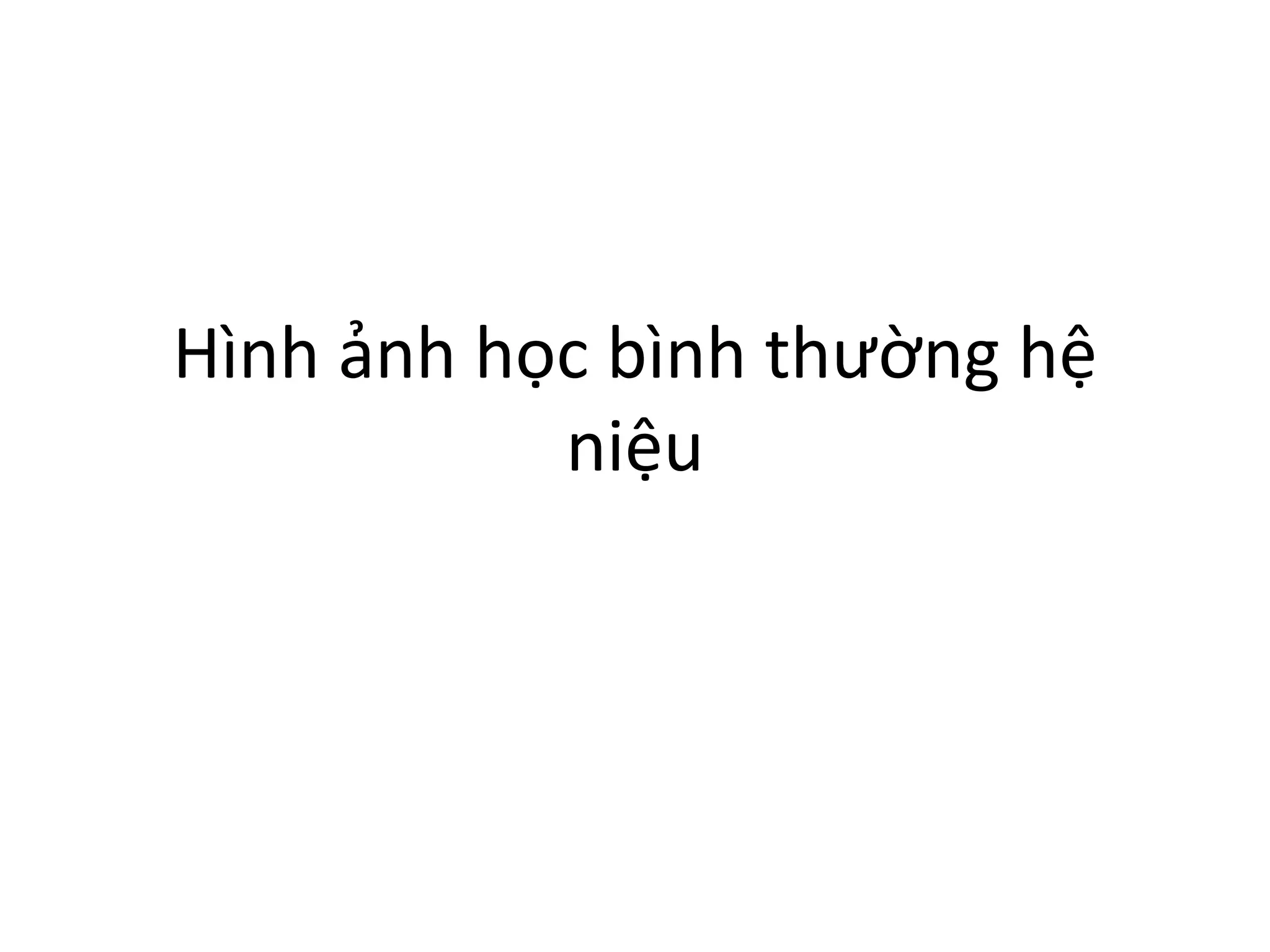 Hinh_anh_hoc_binh_thuong_he_nieu.pdf