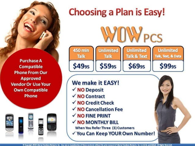 LFN Business Overview_v1 7-26-10i | PPT