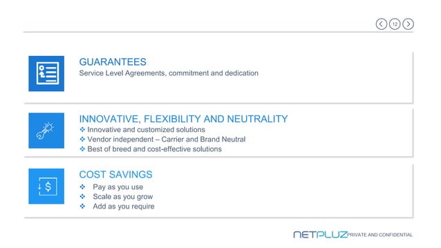 Netpluz Managed Services Portfolio | PPT