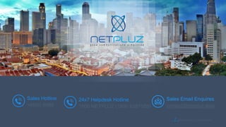 Netpluz Managed Services Portfolio | PPTX