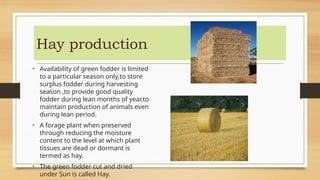 hay and haylage ,livestock farm practices | PPTX