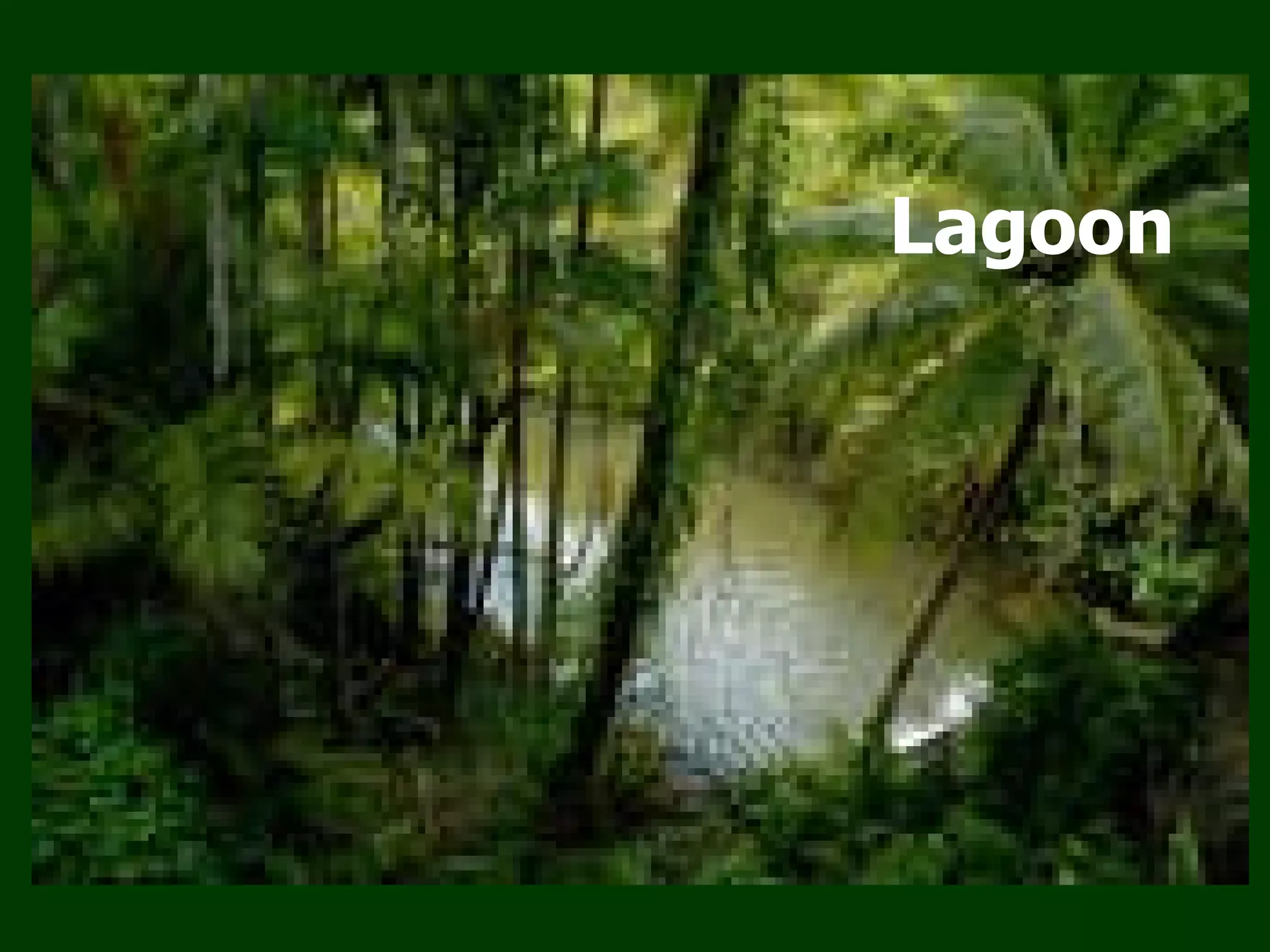 Lord of the Flies Pictures | PPT