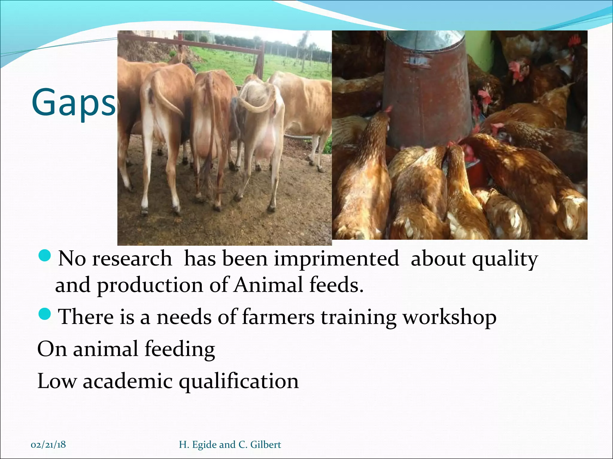 Animal feed in Burundi | PDF