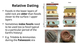 lIFE SCIENCES gr 10 HISTORY OF LIFE.pptx