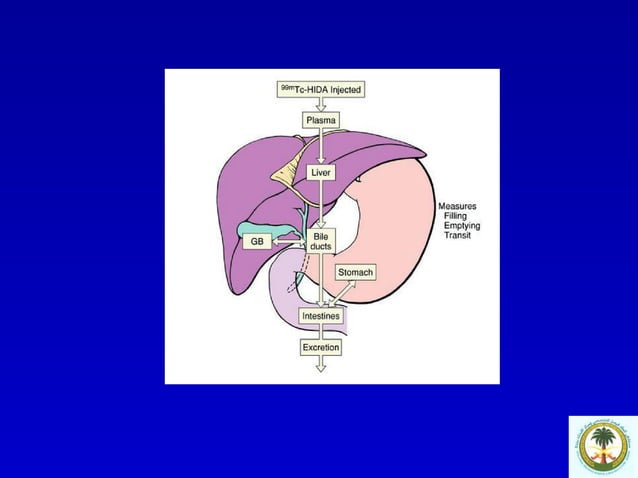 Approach to the patient with abnormal LFTs | PPT