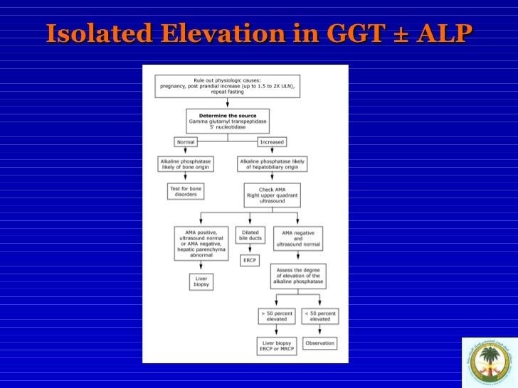 Approach to the patient with abnormal LFTs