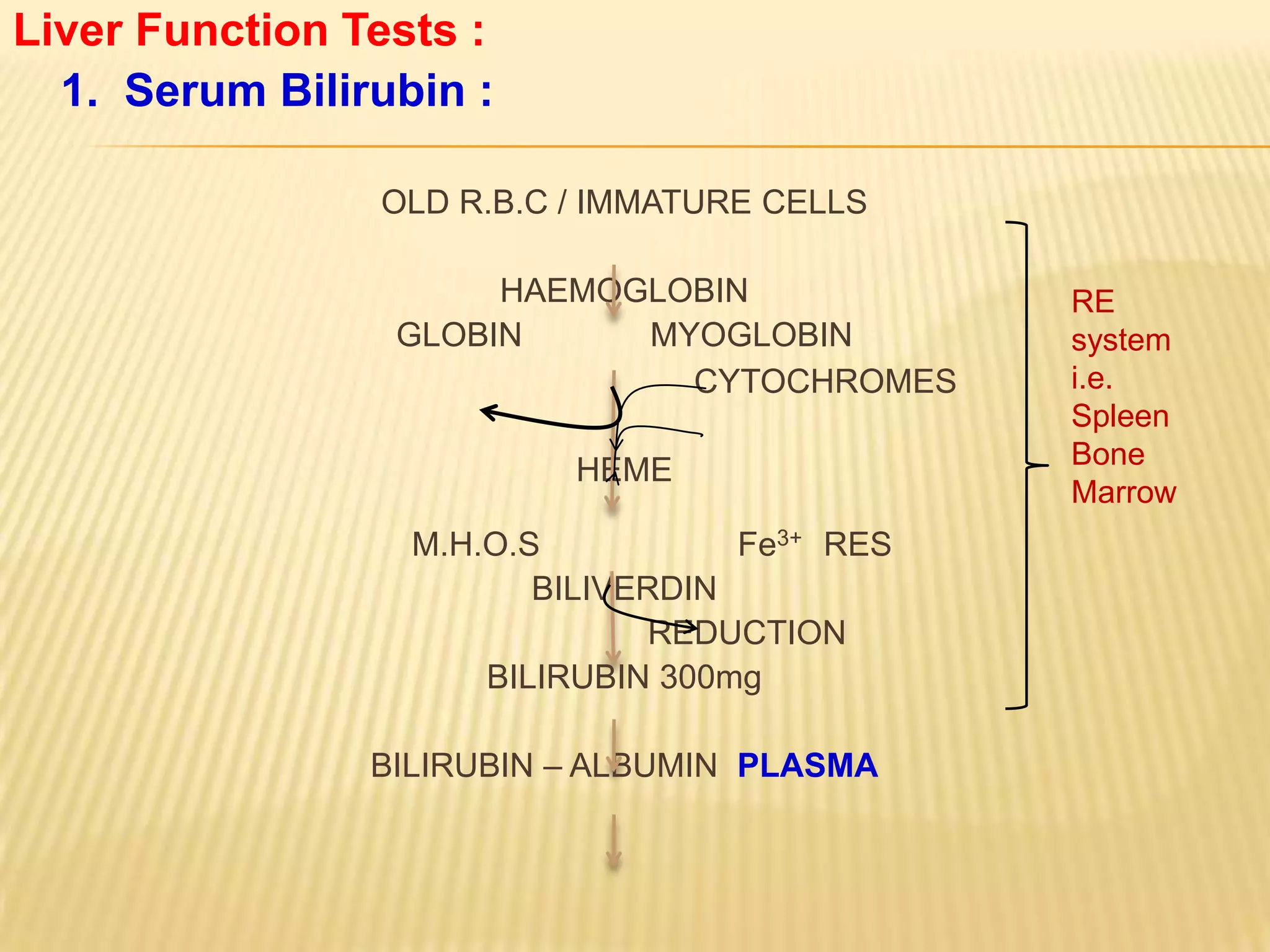 Liver Function Test | PPT | Endocrine and Metabolic Diseases | Diseases ...