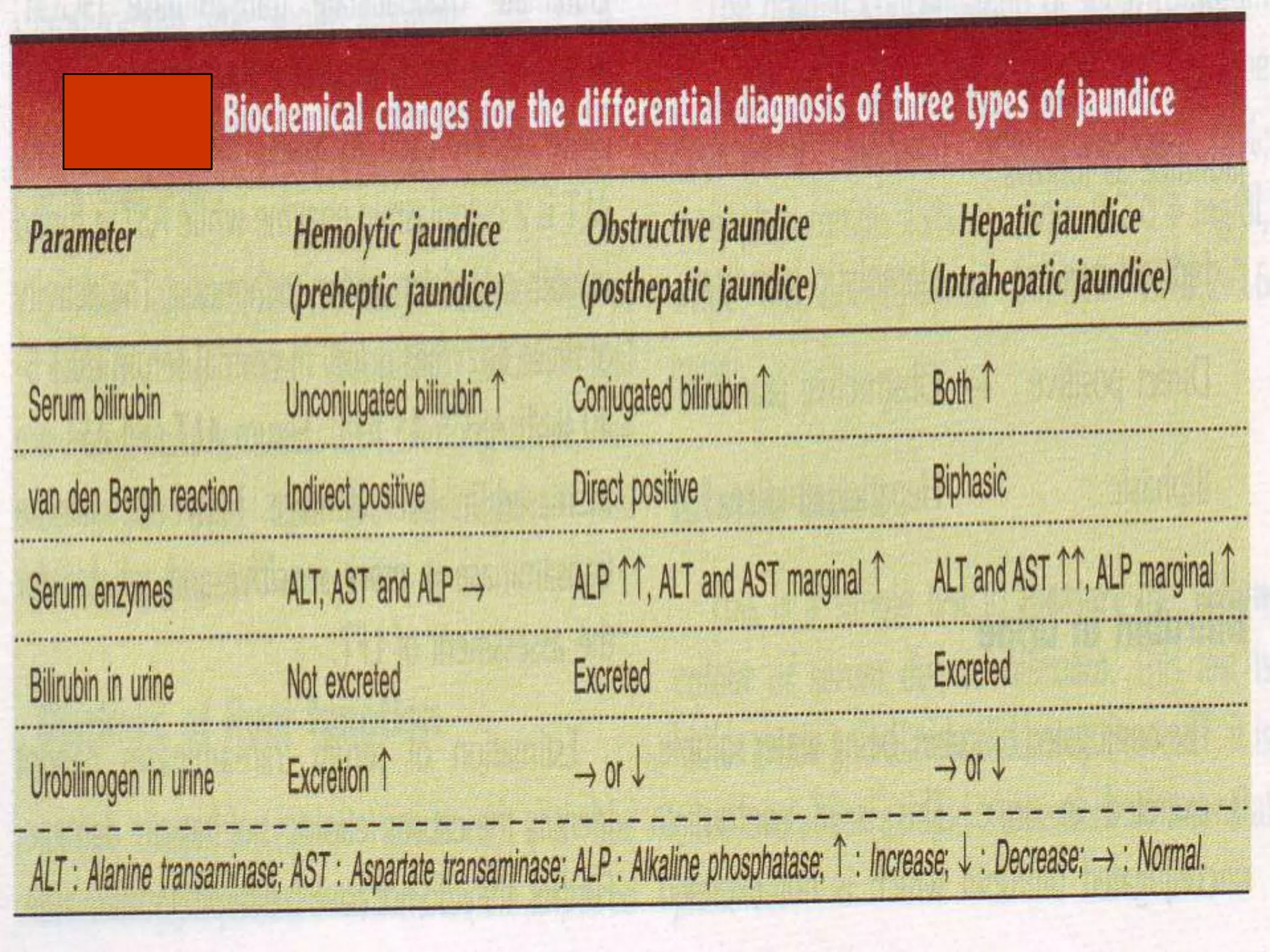 Liver Function Test | PPT
