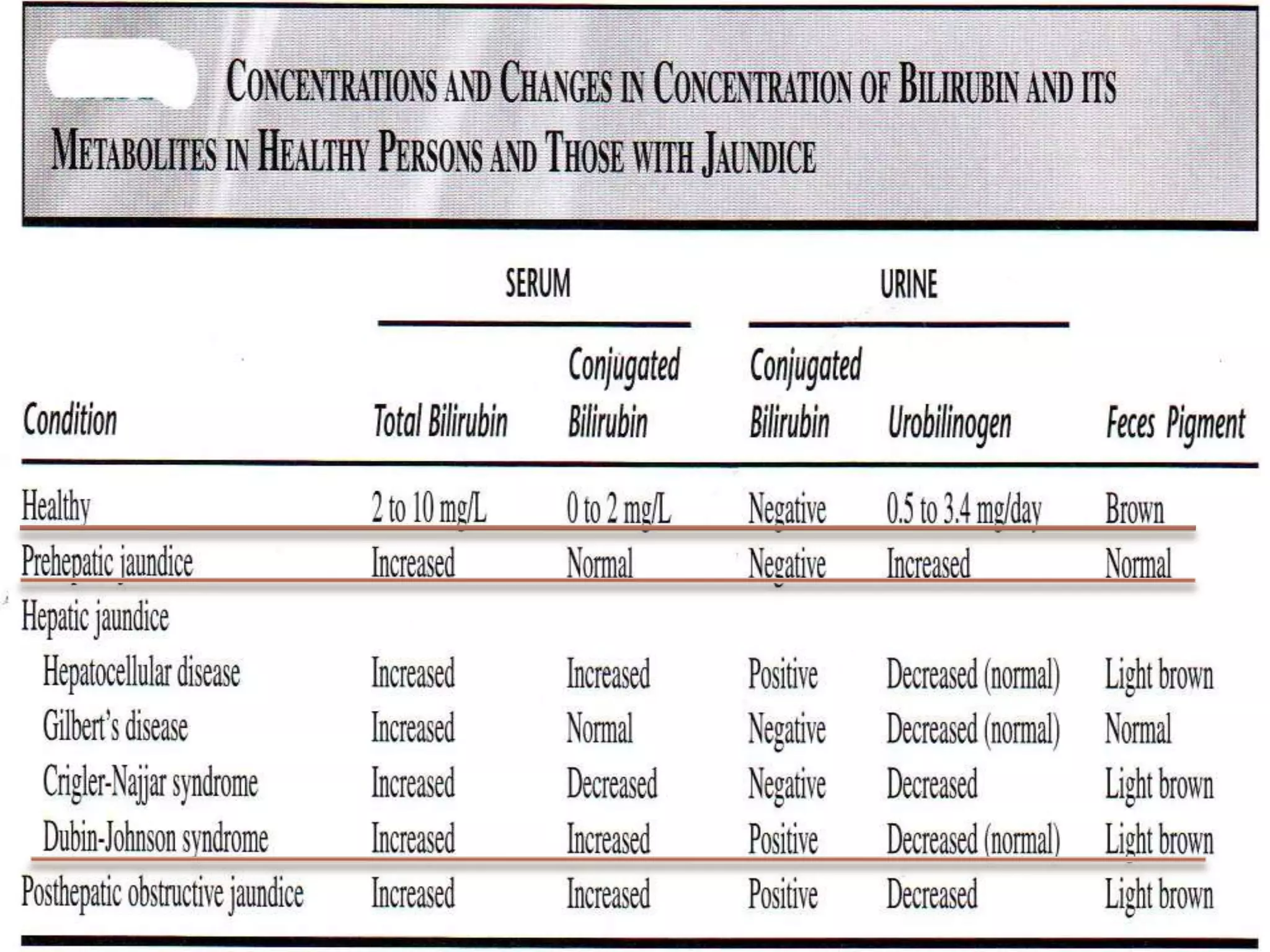Liver Function Test | PPT