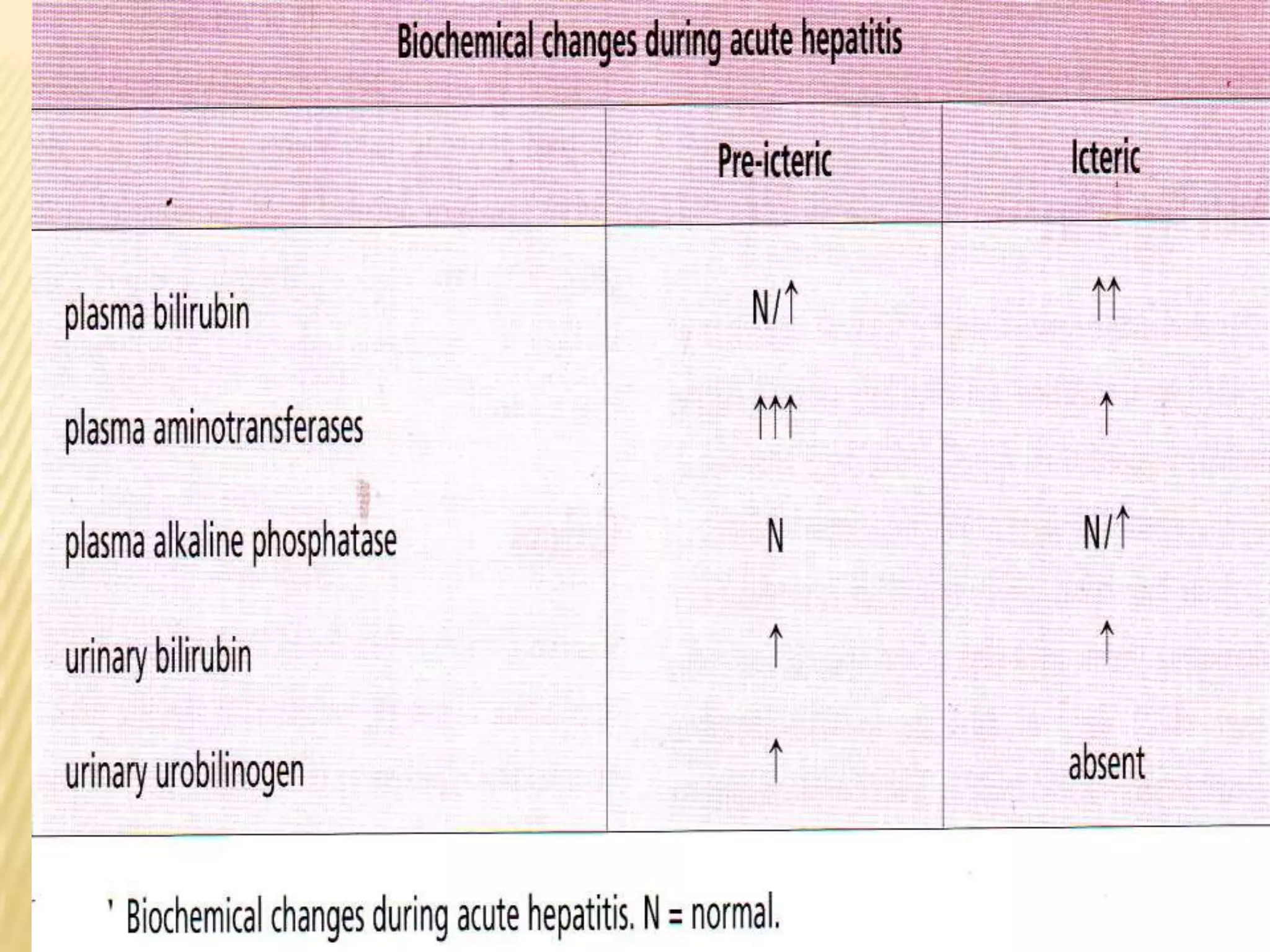 Liver Function Test | PPT