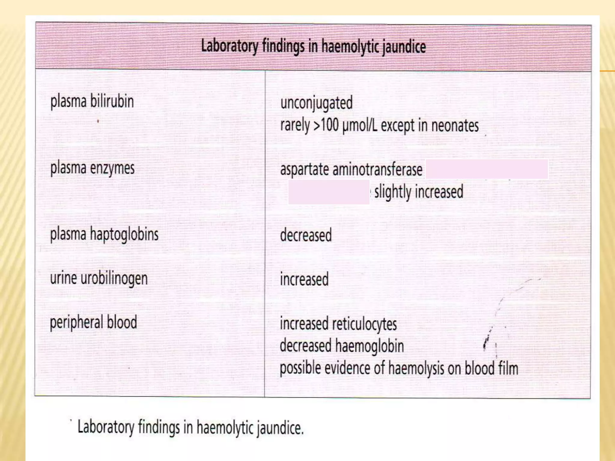 Liver Function Test | PPT