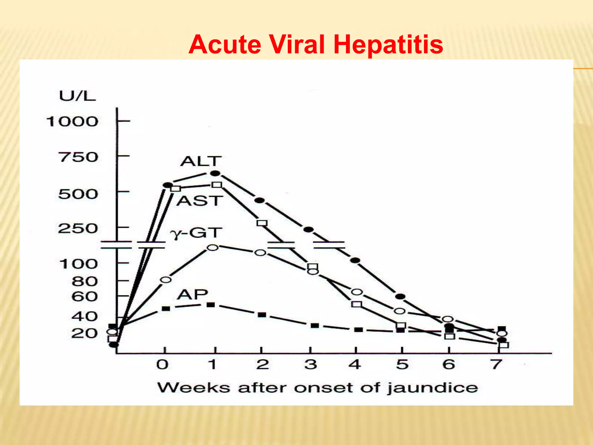 Liver Function Test | PPT