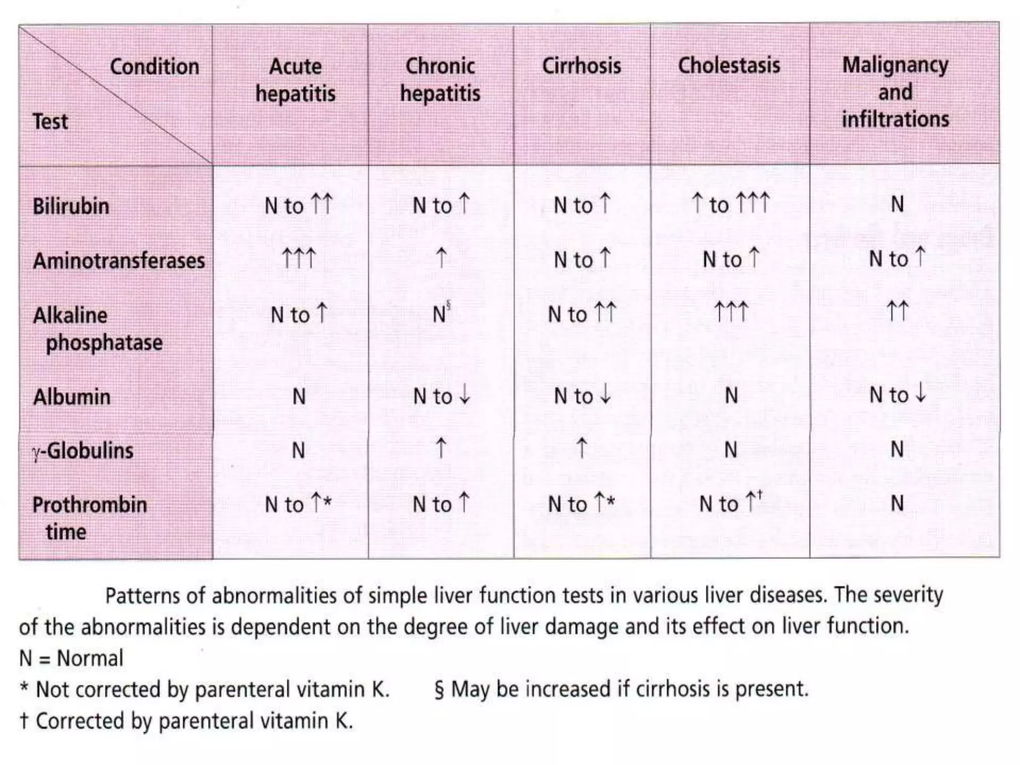 Liver Function Test | PPT