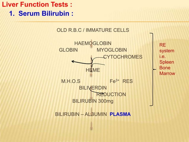 Liver Function Test | PPT | Endocrine and Metabolic Diseases | Diseases ...