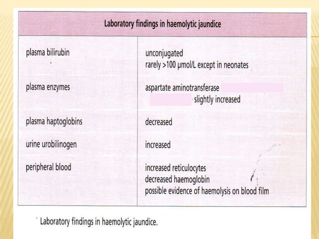 Liver Function Test | PPT | Endocrine and Metabolic Diseases | Diseases ...