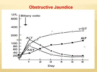 Liver Function Test | PPT