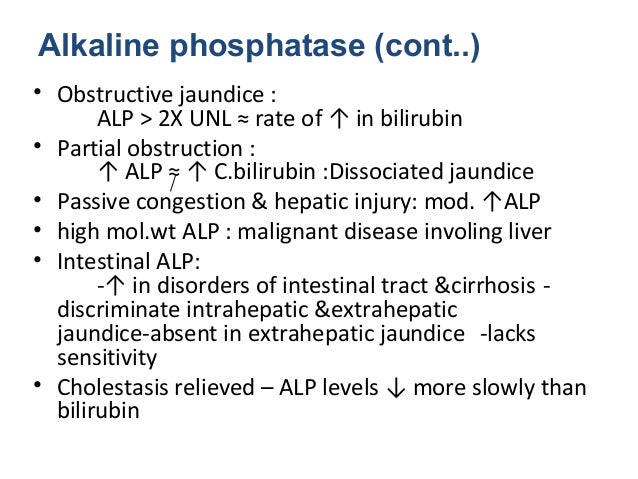 Liver function test
