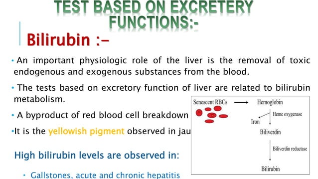 Liver Function Test Lft Pptx