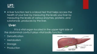 Liver function test is completly explained | PPT