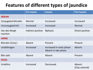 Liver Function Test | PPTX