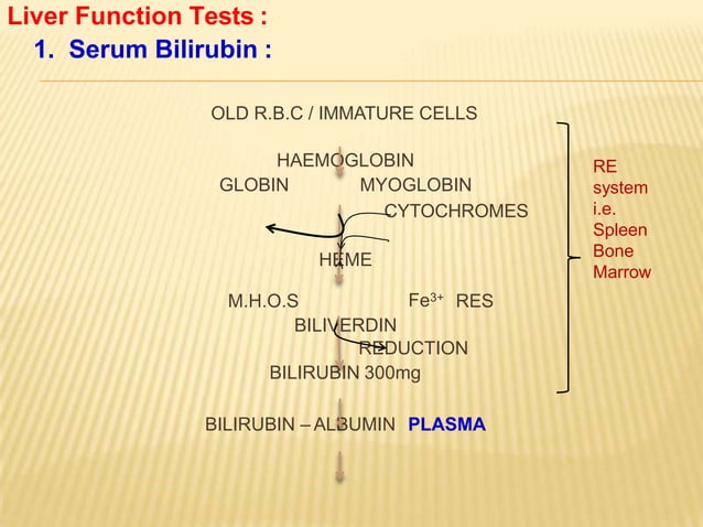 Liver function test ( the liver enzymes and their activities) | PPTX