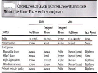 Liver function test ( the liver enzymes and their activities) | PPTX