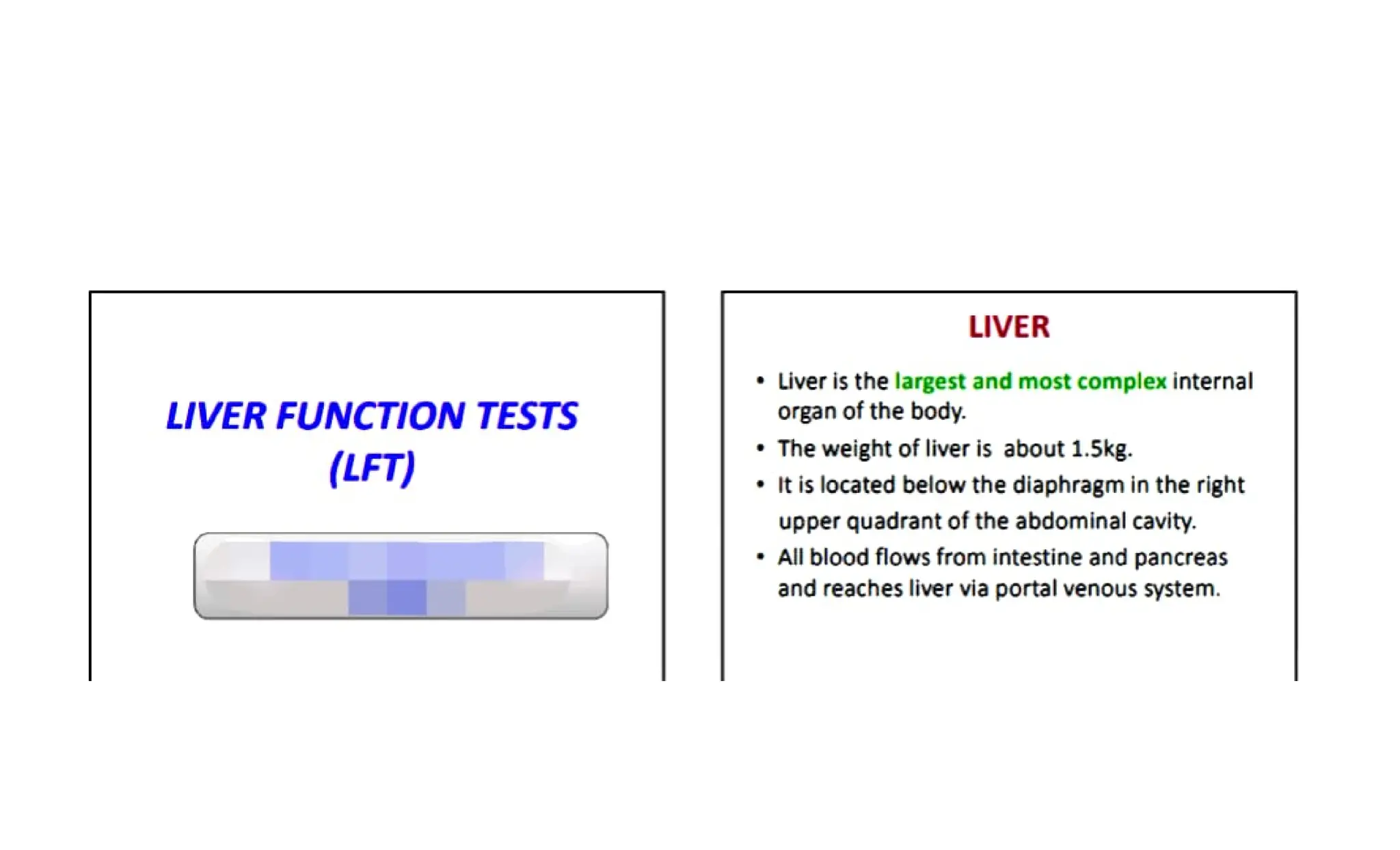 lft (1).pdf liver function test ,it's types | PDF