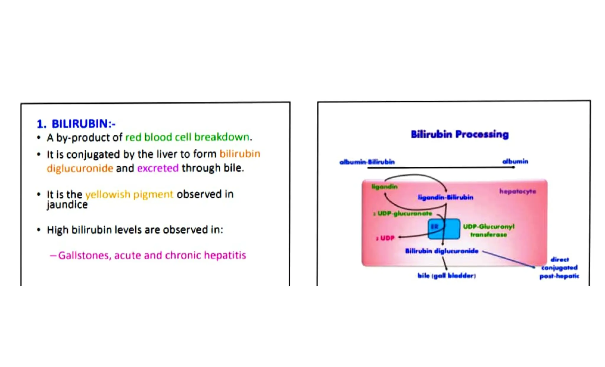 Lft 1 Pdf Liver Function Test Its Types Ppt
