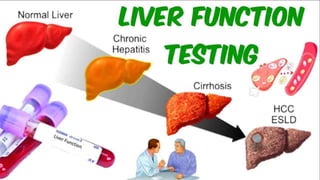 Liver function tests.pptx | PPTX