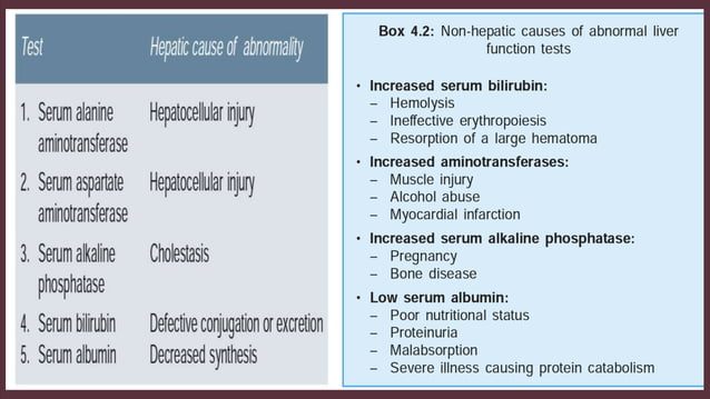 Liver function tests.pptx | PPTX