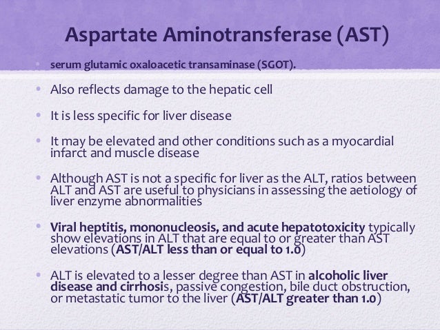 Liver Function Tests