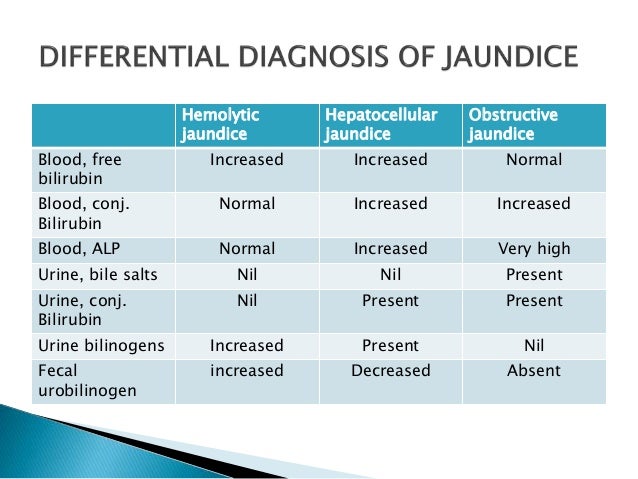 LIVER FUNCTION TEST