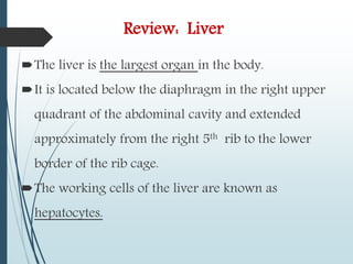 Liver function test | PPTX