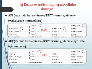 Liver function test | PPTX
