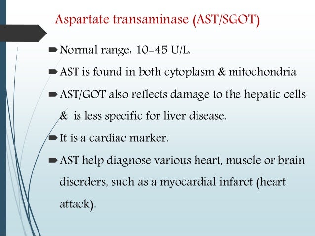 Liver function test