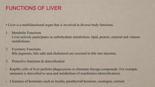 lft ppt and parameters of lft with fate of bilirubin.pptx | Endocrine ...