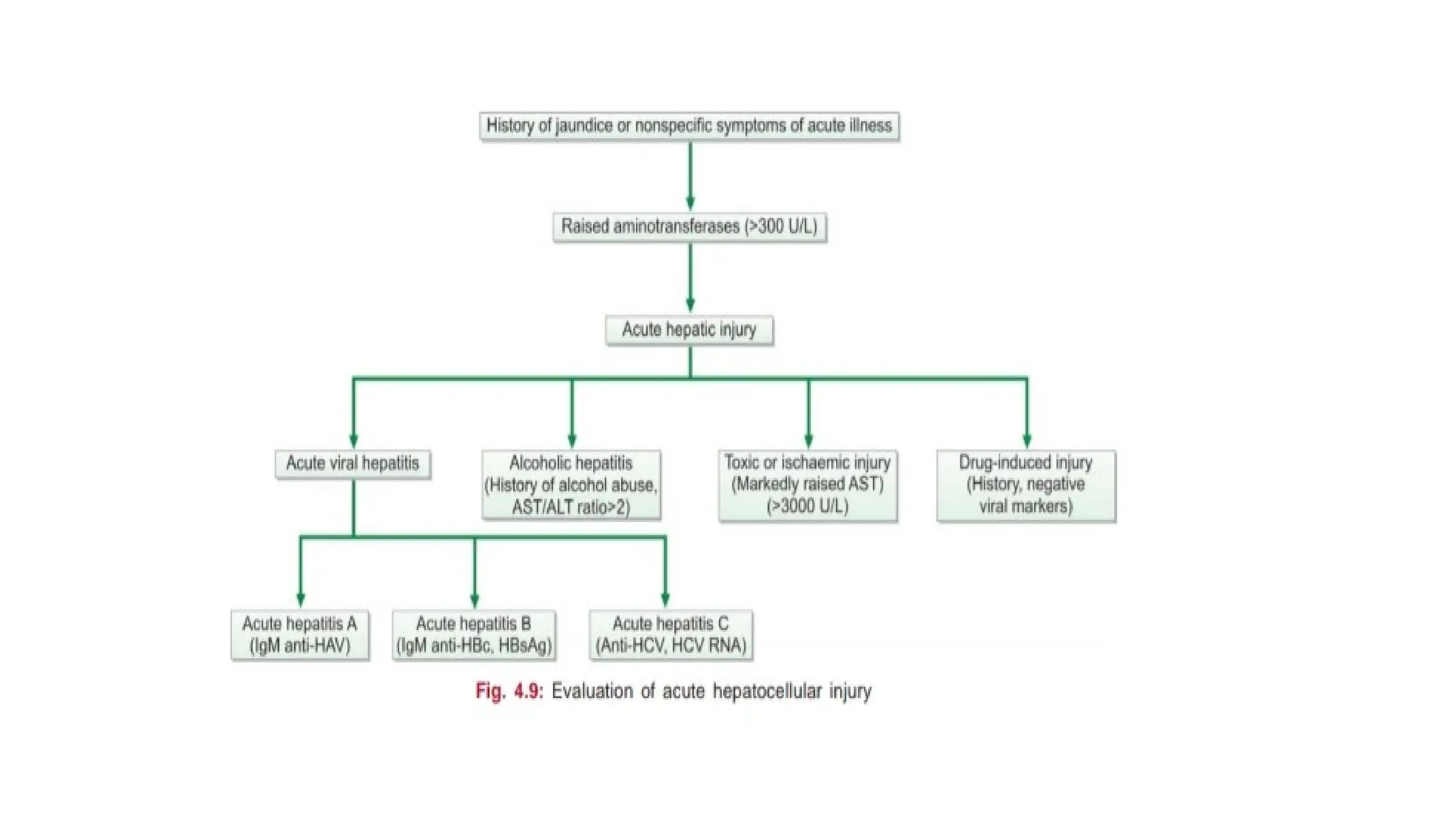Liver function tests ppt MONIKA NEW.pptx | Endocrine and Metabolic ...