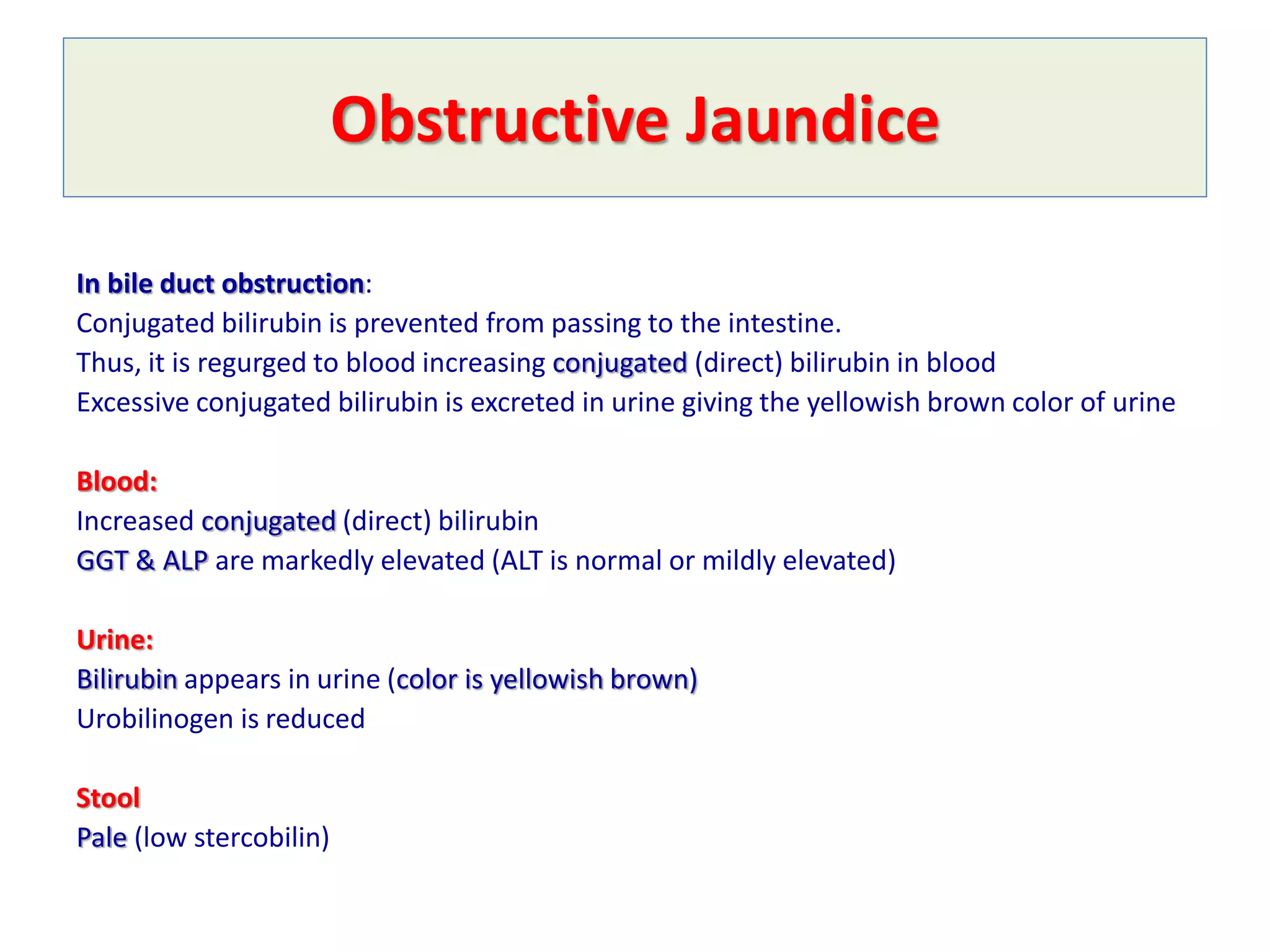 Liver Function Test | PPTX