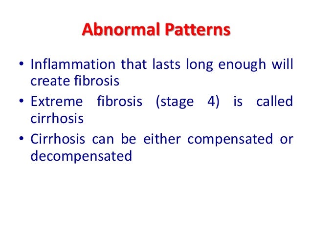Liver Function Test