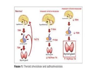 LFT, RFT , THYROID.pptx