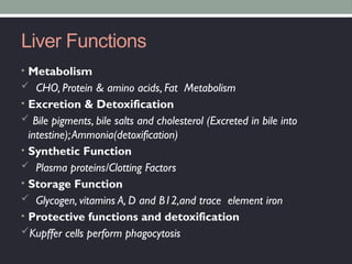 Liver function tests interpretation bilirubin metabolism | PPTX