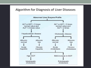 Liver function tests interpretation bilirubin metabolism | PPTX