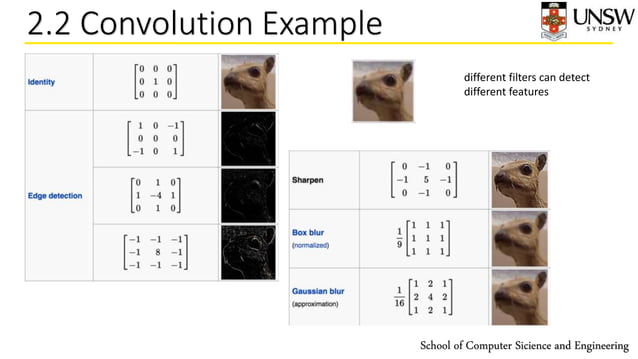 Introduction to CNN | PPTX | Artificial Intelligence | Technology ...