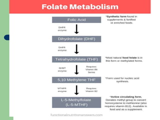 Vitamin B deficiency and Folic acid deficiency Megaloblastic anemias.ppt