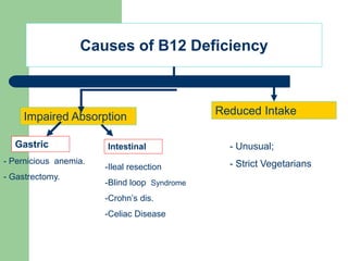 Vitamin B deficiency and Folic acid deficiency Megaloblastic anemias.ppt