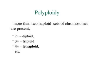LGt . poliplody, diplody, tetrapolod, quadrant | PPTX | Biological Sciences | Science