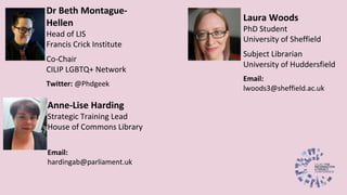 Information LGBTQIA+ disinformation: information literacy for allyship ...